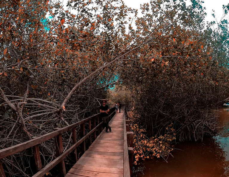 Tour Manglares de Tumbes « Santuario Travel